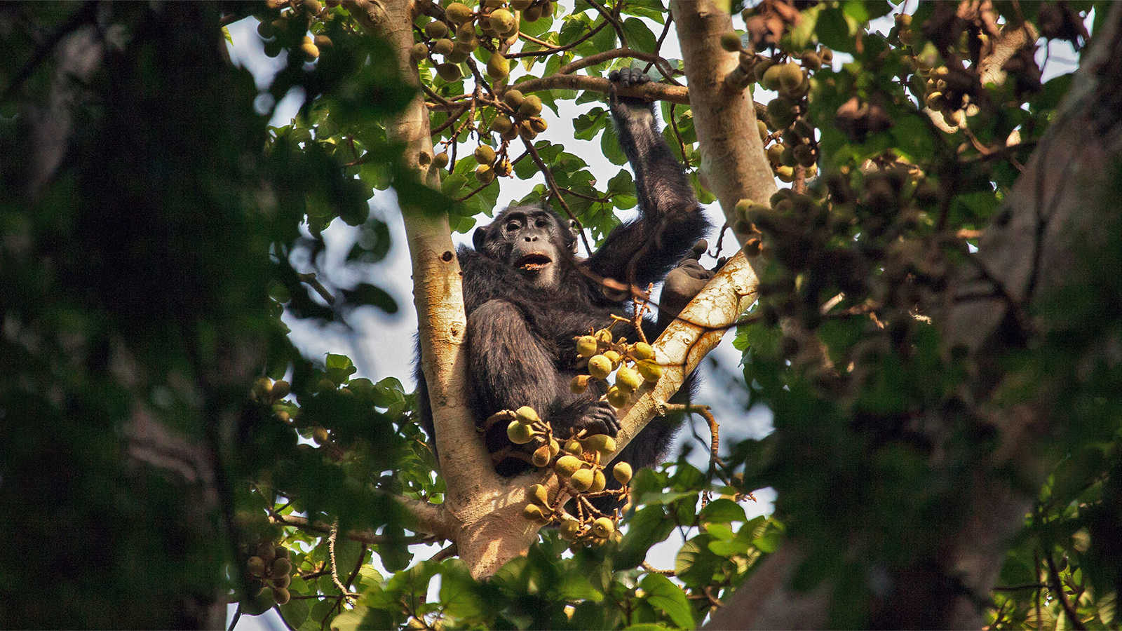 Travel to Uganda | Kandoo Adventures