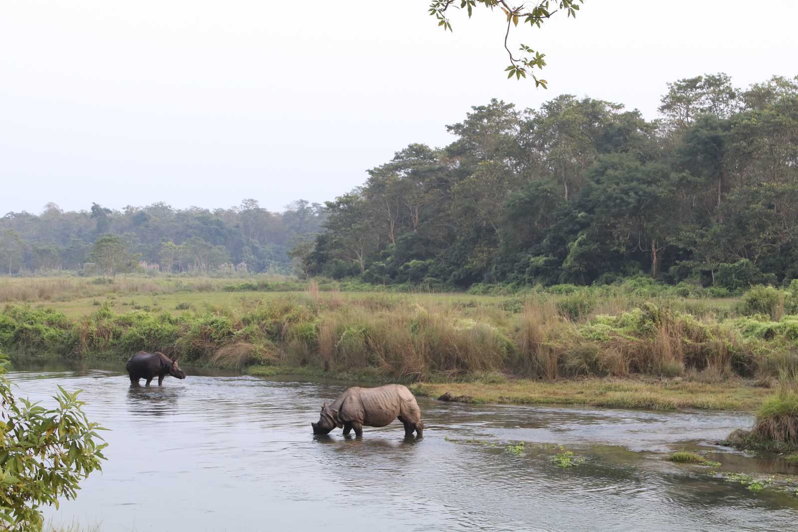 Chitwan National Park 3-day extension | Kandoo Adventures