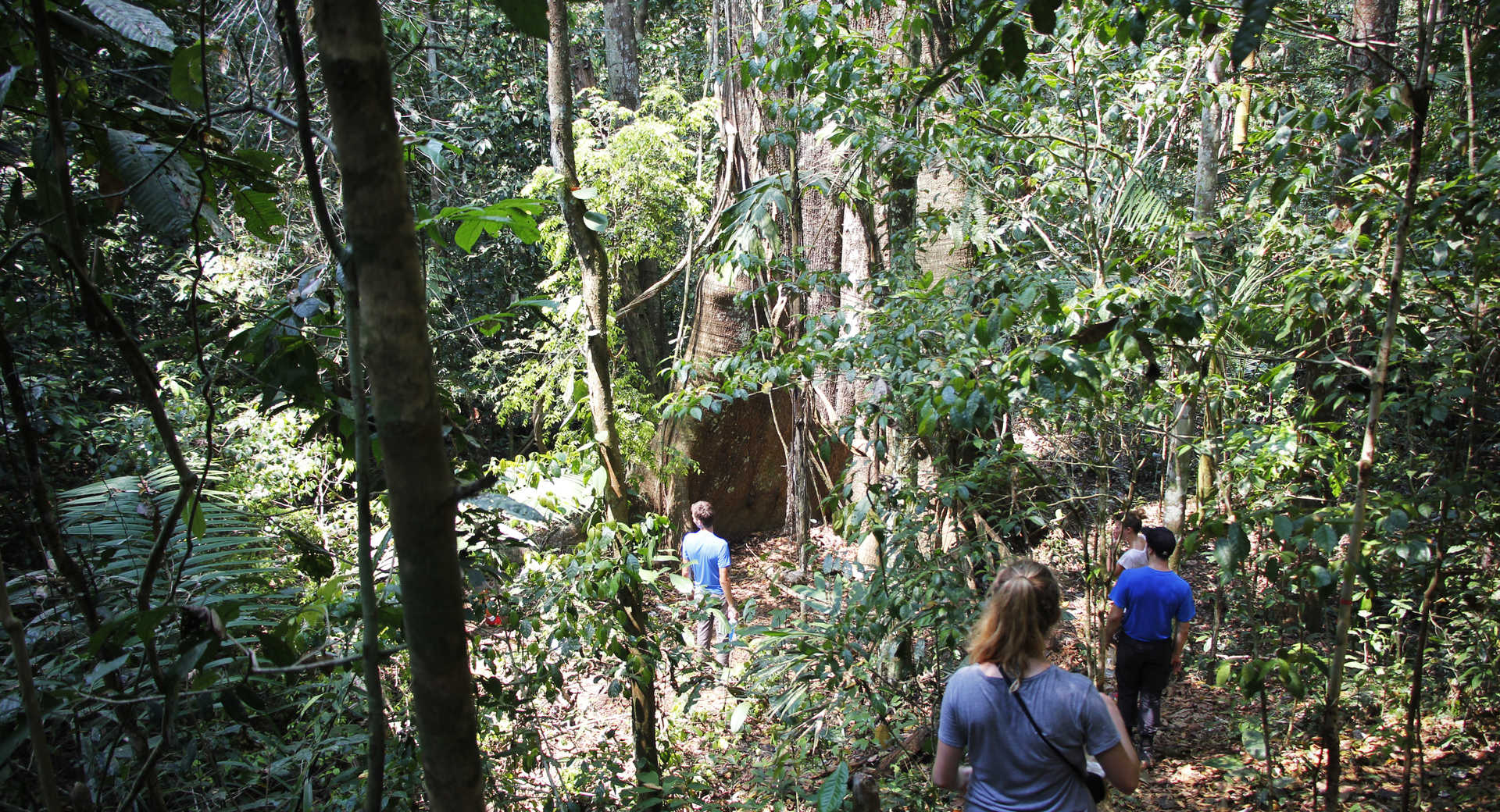 Amazon Experience | Kandoo Adventures