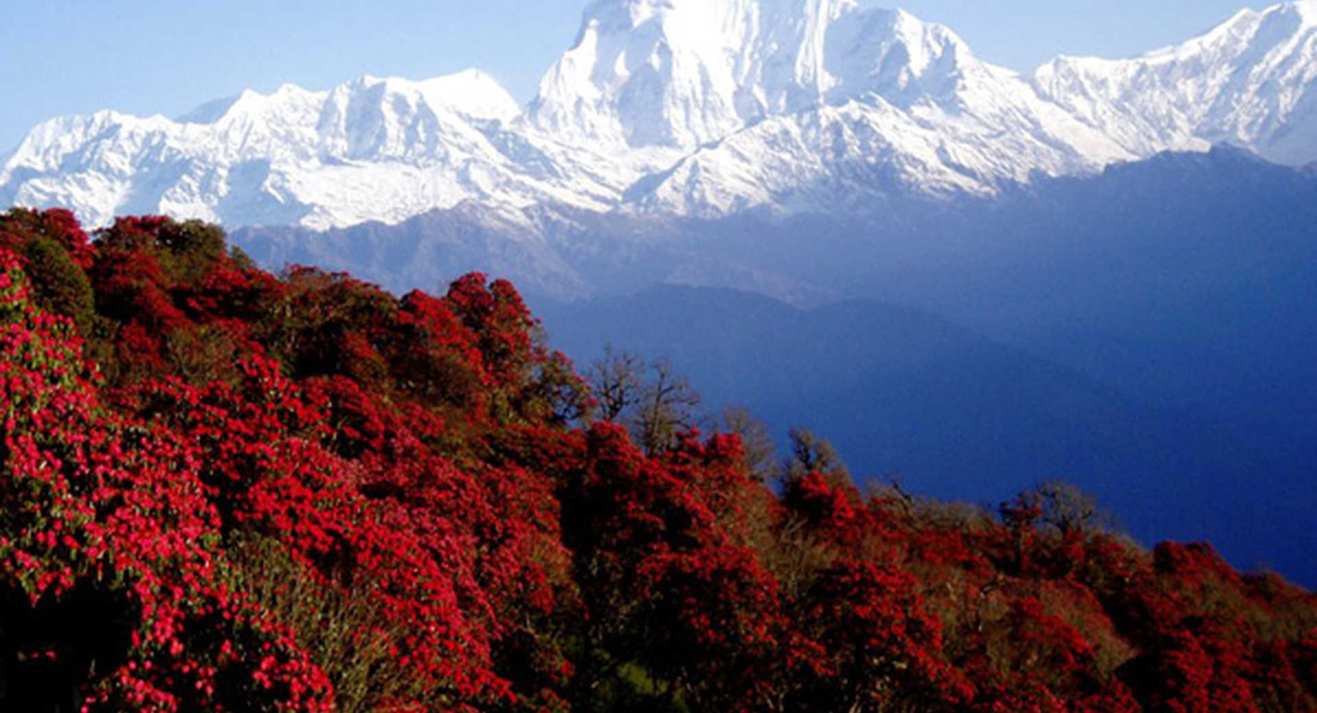 Hiking Bhutan in Spring | Kandoo Adventures