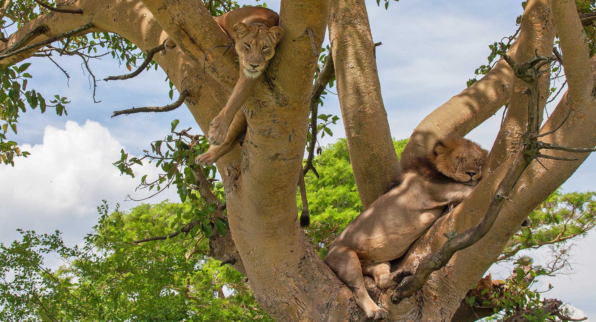 Top 10 Places to Visit in Uganda | Kandoo Adventures