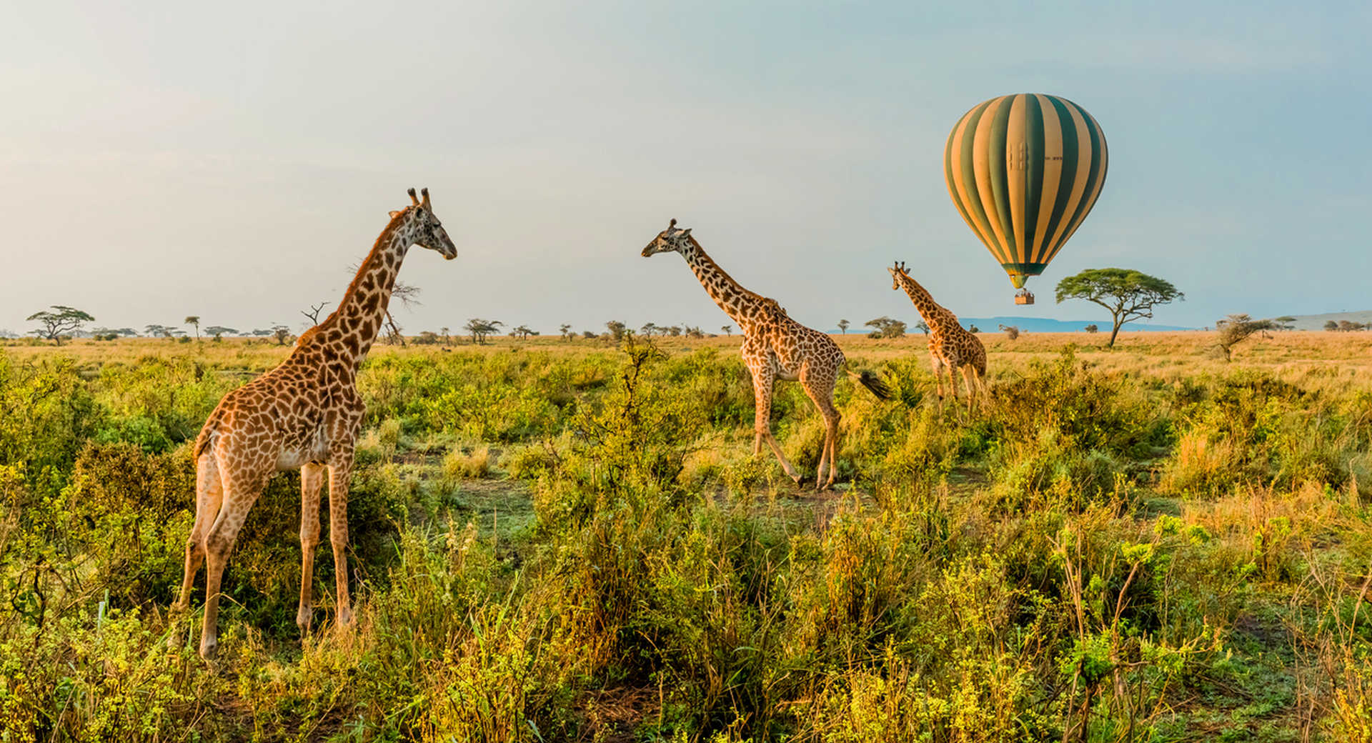 Bucket List Holidays | Kandoo Adventures | Kandoo Adventures